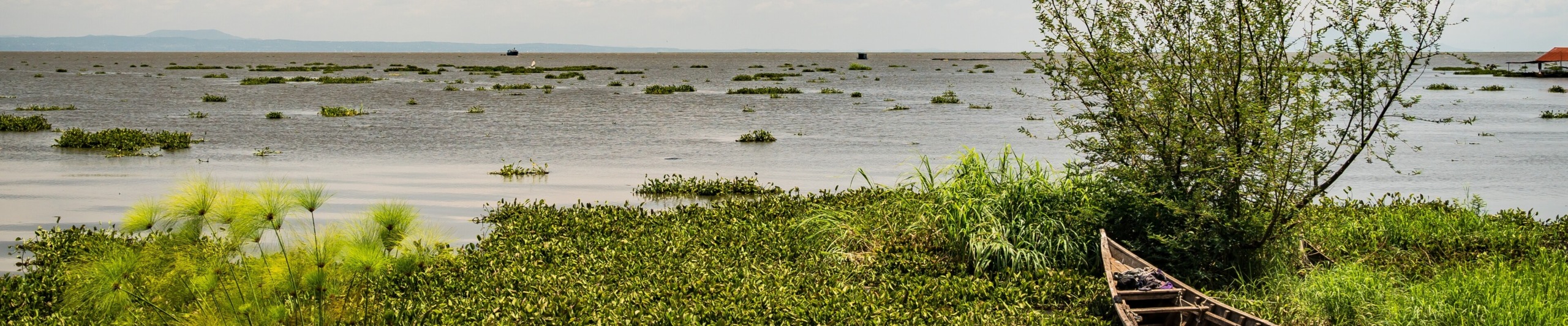 持続可能な水資源利用のための湖沼流域管理 | International Lake Environment Committee | 公益財団 ...